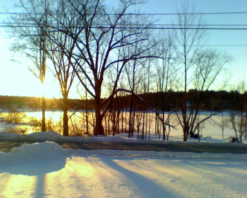 Glass Lake Preservation Corporation – Glass Lake: A Thing of Beauty