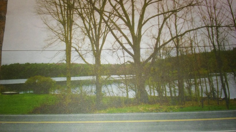 Glass Lake Preservation Corporation – Glass Lake: A Thing of Beauty