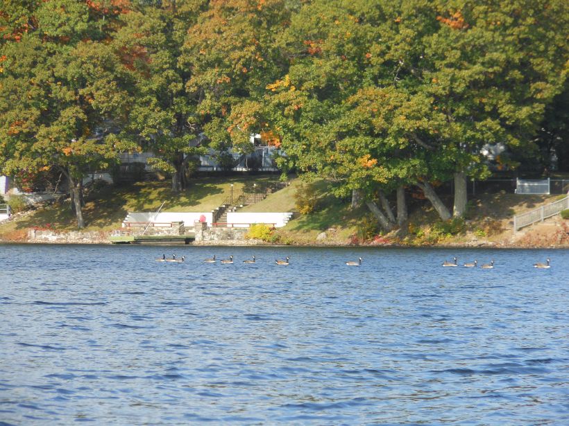 Glass Lake Preservation Corporation – Glass Lake: A Thing of Beauty