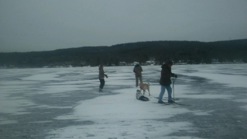 Glass Lake Preservation Corporation – Glass Lake: A Thing of Beauty