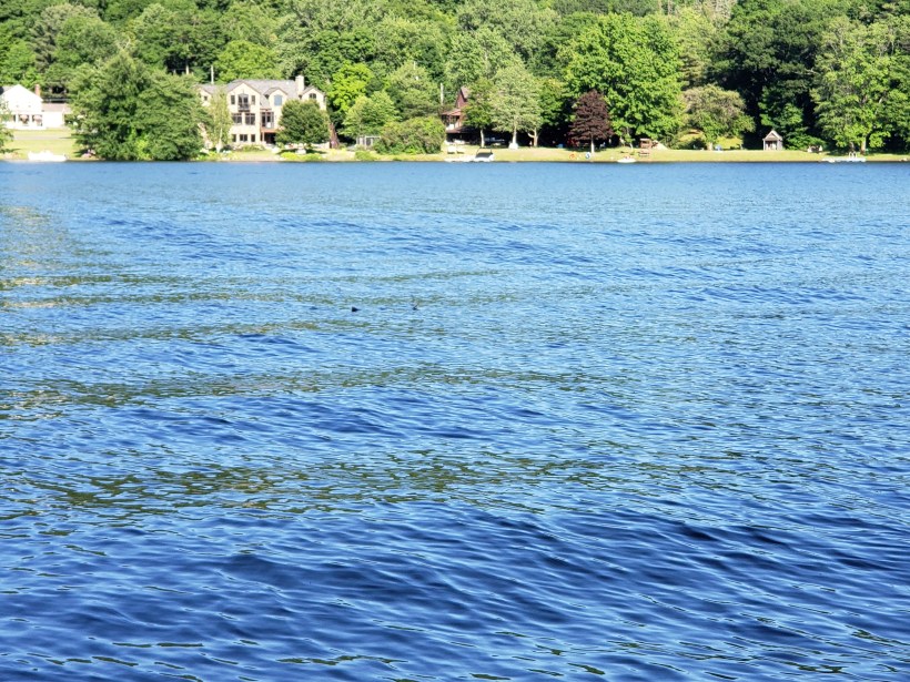 Glass Lake Preservation Corporation – Glass Lake: A Thing of Beauty