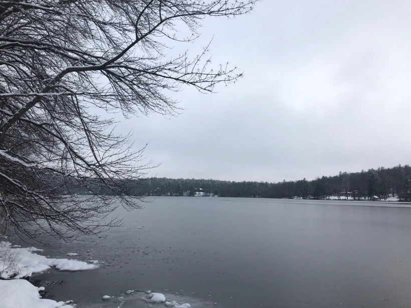 Glass Lake Preservation Corporation – Glass Lake: A Thing of Beauty